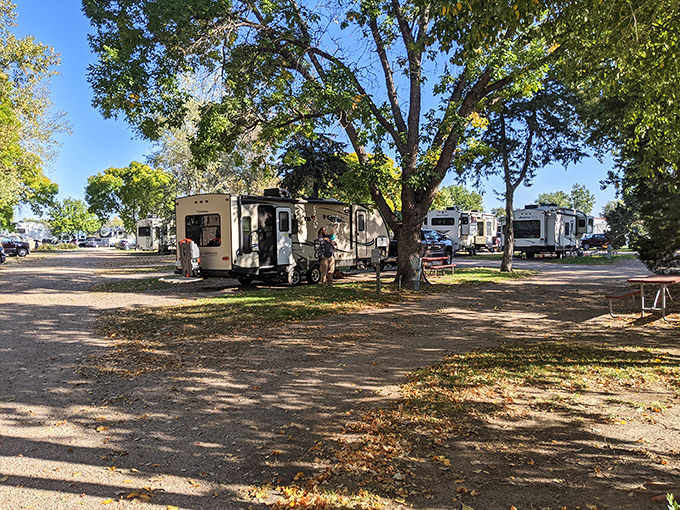 Shaded RV sites offer comfortable camping that's civilized enough for retirees who've earned the right to avoid sleeping on rocks.