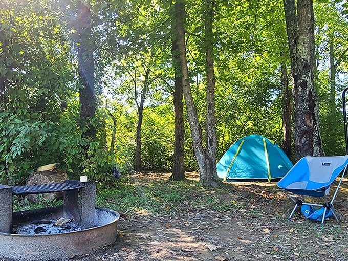 Camping simplified: one tent, one fire pit, zero emails. The original unplugged experience that somehow never loses reception with what matters.