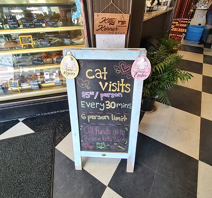 A charming chalkboard explains the cat visit system – $5 for 30 minutes of purr therapy, with proceeds supporting rescue efforts.