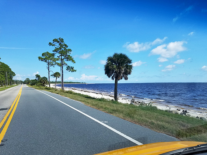Coastal roads where the journey truly is the destination &ndash; one palm tree, endless horizon, and not a single email notification in sight.