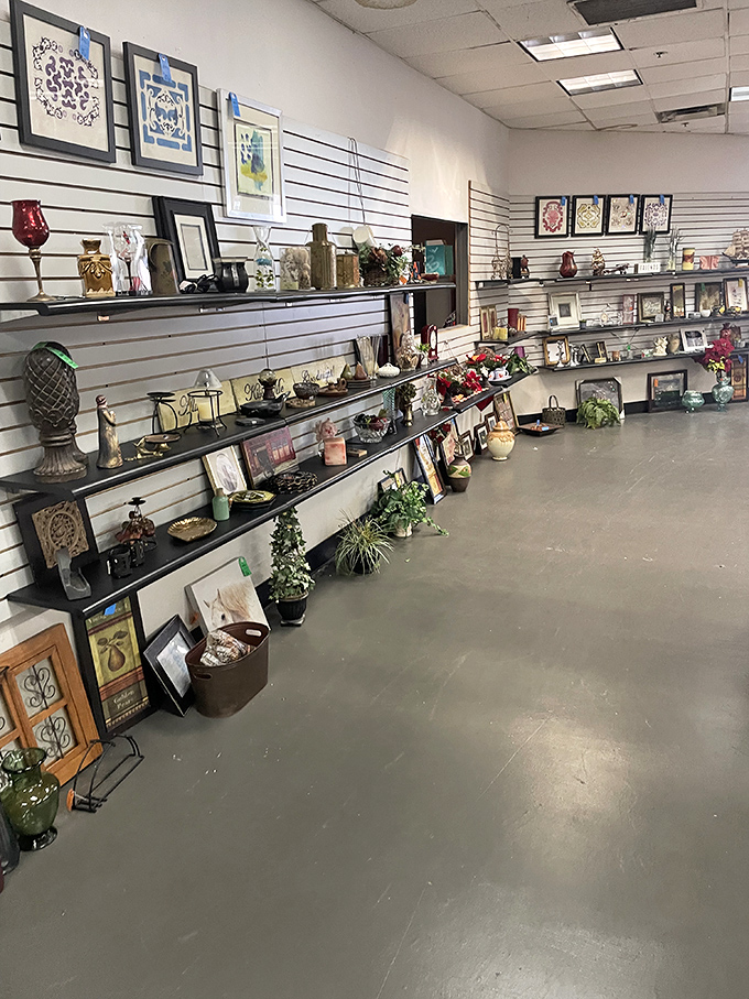 Home d&eacute;cor that spans every style imaginable&mdash;from minimalist modern to country cozy, all arranged like an interior designer's fever dream.