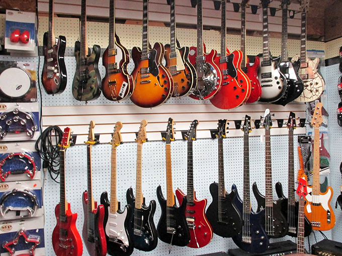 Guitar dreams hanging like ripe fruit, waiting to be plucked. Each one whispering promises of rock stardom or at least an impressive living room jam session.