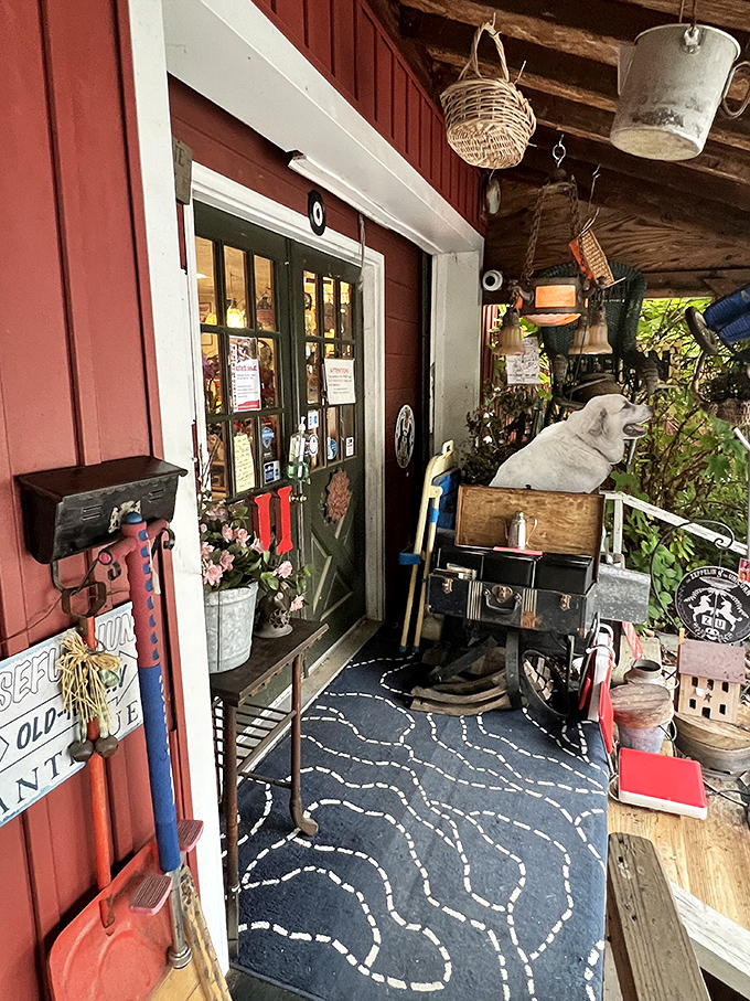 The entrance beckons with promises of wonders within. That vintage stove and blue patterned rug aren't just decor&mdash;they're the first clues to the treasures inside.