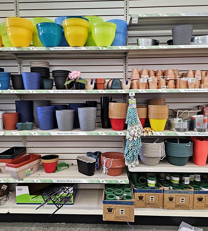 Garden supplies in every color of the rainbow&mdash;plastic pots and planters that bring affordable charm to patios and porches across Cary.
