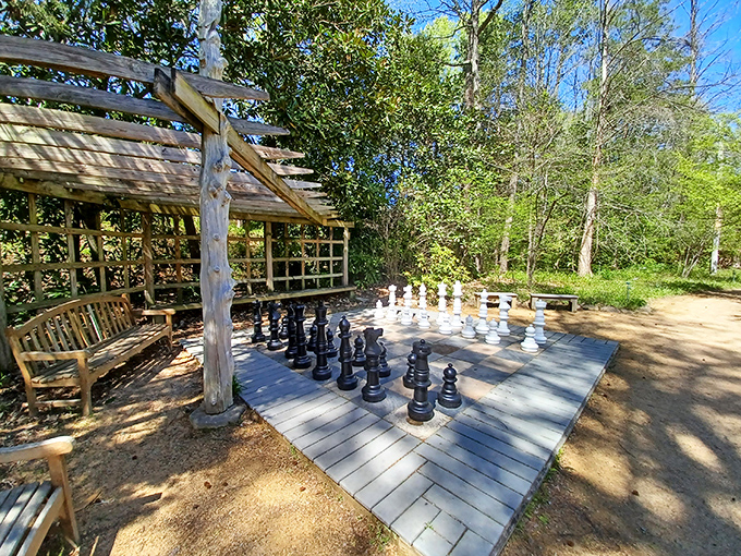 Chess for giants! This outdoor board proves that garden games are more fun when you might pull a muscle moving your bishop.
