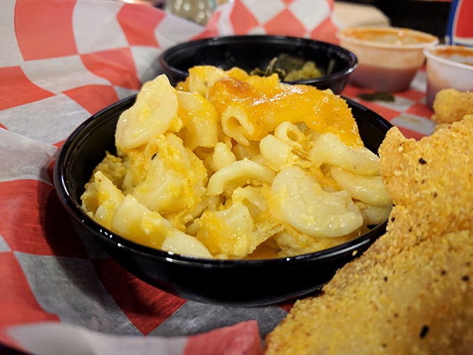 Mac and cheese that doesn't just sit on the plate &ndash; it performs. Creamy, cheesy, and unapologetically indulgent, it's the side dish that steals the spotlight.