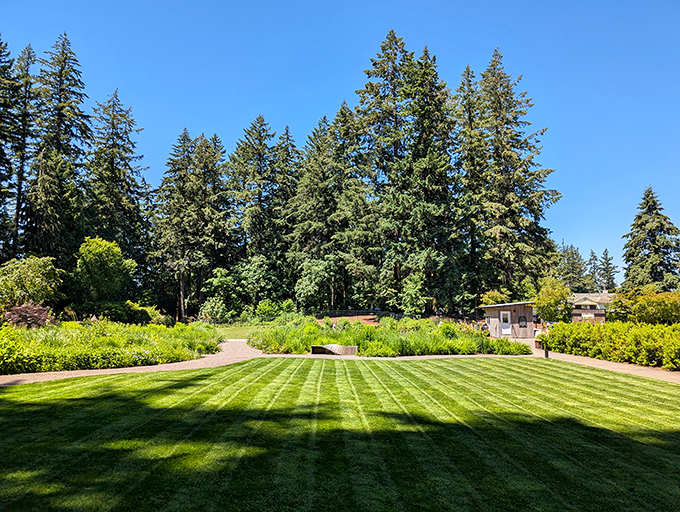 A perfectly manicured lawn stretches toward towering evergreens &ndash; nature's version of a grand ballroom.