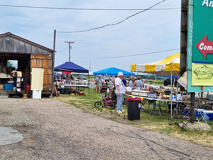 Summer brings the outdoor vendors, where treasures bask in the sunshine. The hunt extends beyond walls when weather permits.