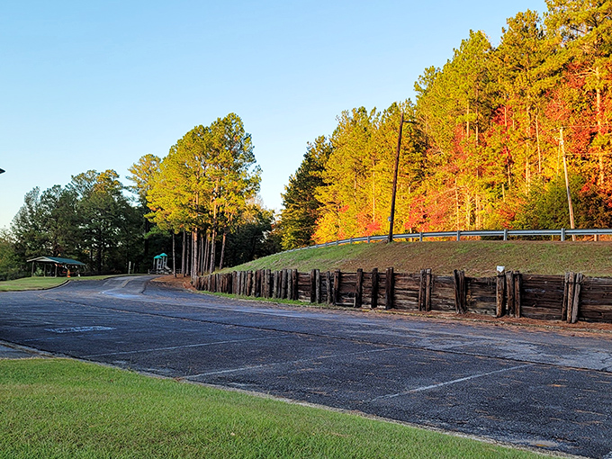 Fall paints Lake Lurleen in golden hues, transforming an ordinary parking area into the grand entrance to a seasonal masterpiece.
