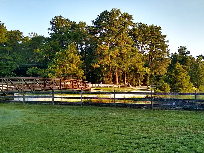 Bridges in parks are like semicolons in sentences&mdash;they connect two beautiful things while giving you a moment to pause and appreciate both.