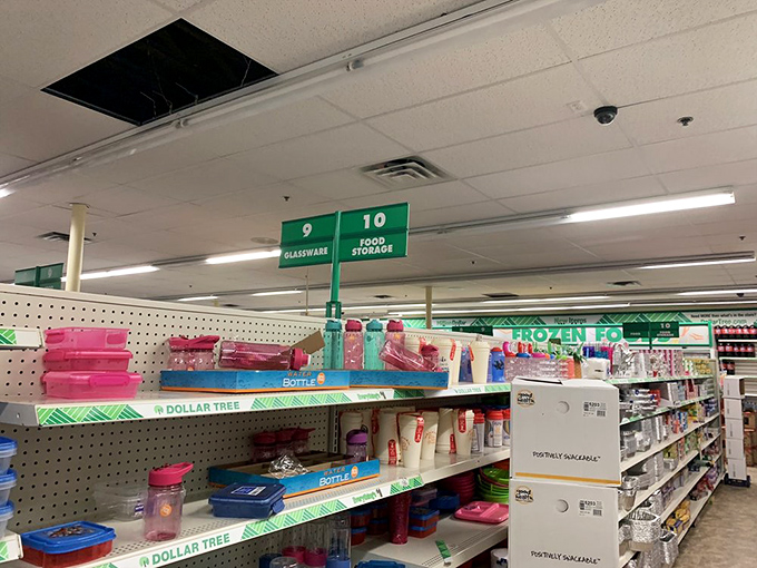 Food storage solutions that Marie Kondo would approve of&mdash;bringing order to chaotic kitchens one colorful container at a time.