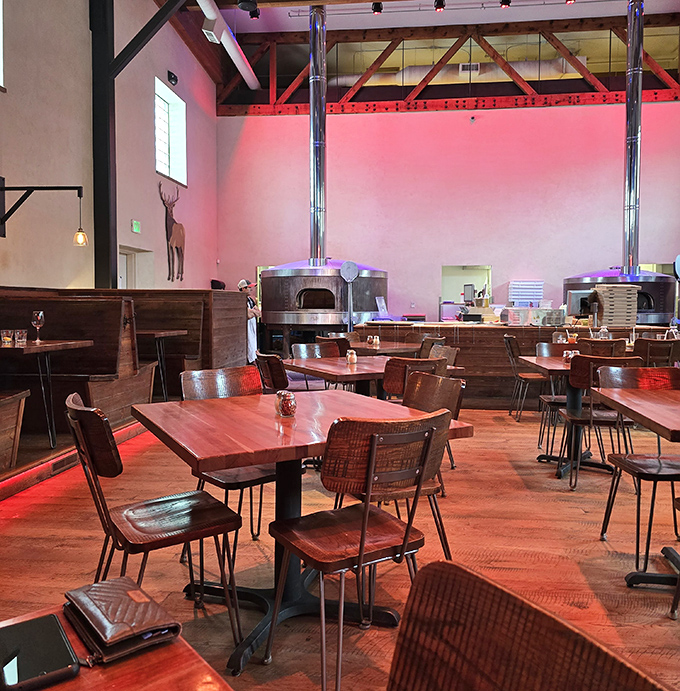 The dining room's soft pink glow creates the perfect backdrop for pizza that deserves its own spotlight.