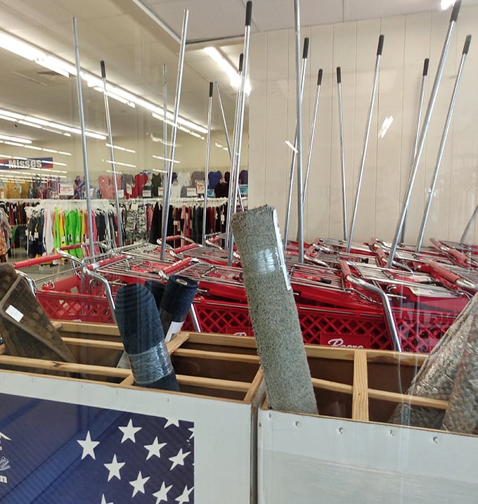 Shopping cart handles reach skyward like a retail forest, waiting to guide bargain hunters through aisles of unexpected discoveries.