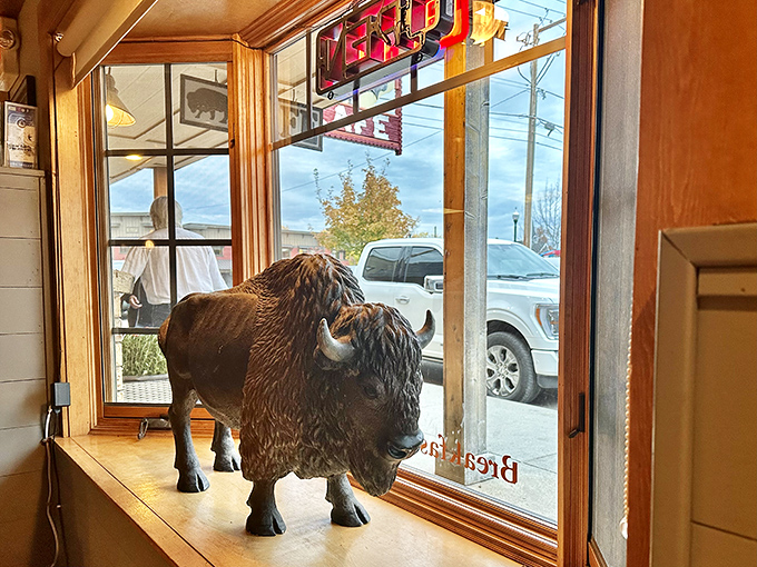 This buffalo statue stands sentinel by the window, silently judging those who order "just a small breakfast." He's seen things—mostly delicious things.