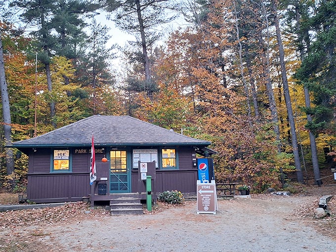 Command central for trail maps and ranger wisdom. This humble headquarters has saved countless hikers from becoming temporary forest residents.