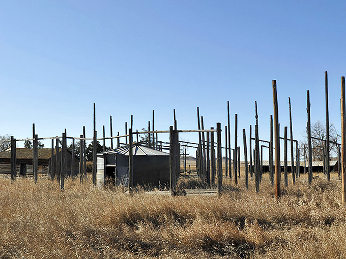 These skeletal remains of livestock pens tell of the agricultural foundation that once supported Griffin's community.
