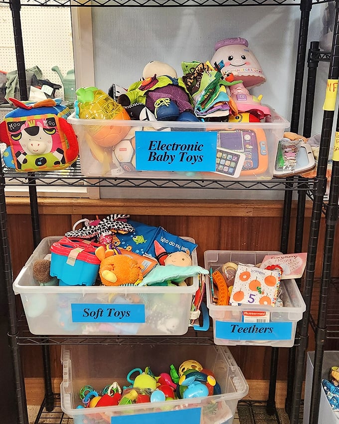 Toy story in real life! These gently-loved playthings are categorized with military precision, waiting to spark imagination without bankrupting parents.