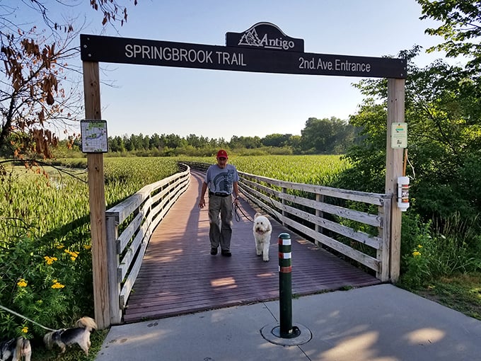 The Springbrook Trail welcomes man and best friend alike, proving that some of life's best conversations happen while walking wooden pathways through nature.
