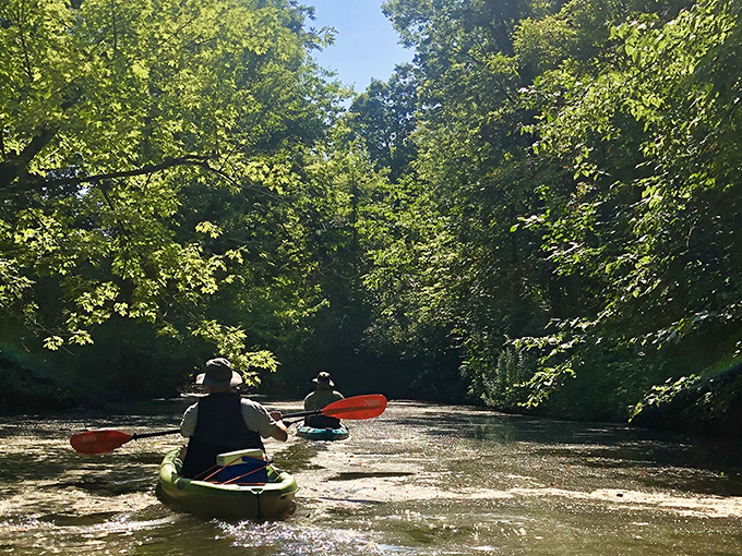 Kayakers glide through tree-canopied waters at Big Creek Park, finding wilderness serenity just minutes from downtown—nature's therapy session at no extra charge.