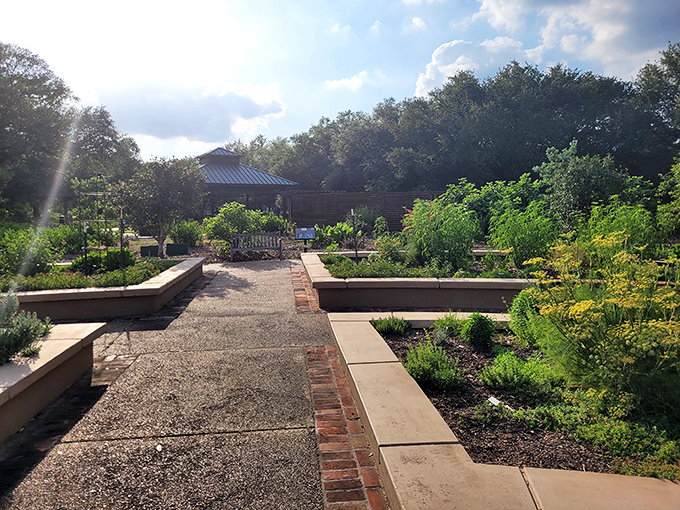 The Botanic Gardens' raised beds showcase Louisiana's growing potential, creating geometric beauty that's both organized and wildly abundant.
