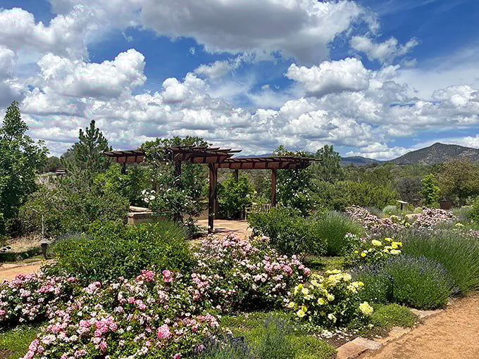 Santa Fe's Botanical Garden proves that even in the desert, beauty blooms extravagantly when given just the right amount of love and attention.