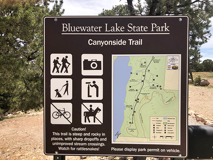 Trail sign reality check—where "watch for rattlesnakes" reminds you this isn't Disneyland, but something far more authentically thrilling.