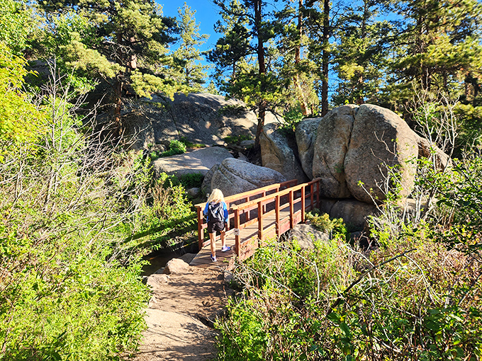 The bridge to somewhere wonderful. These thoughtfully placed wooden pathways guide visitors through fragile ecosystems while delivering moments of pure Wyoming magic.