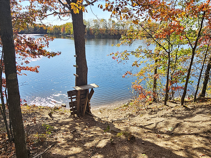 Hanson Lake shimmers through autumn foliage, offering a moment of tranquility that no retirement brochure could capture. Pure Wisconsin magic.