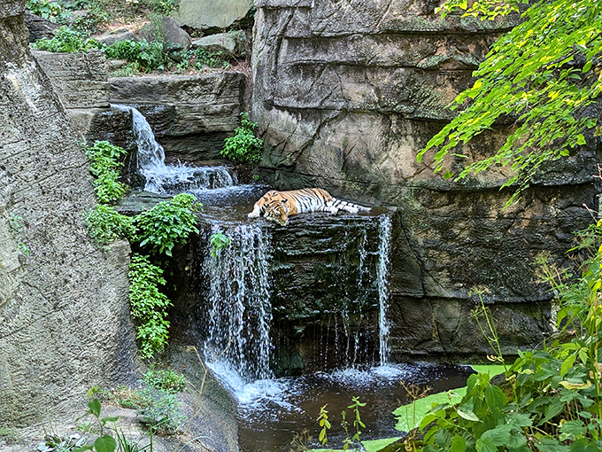 Even the zoo exhibits reflect Pittsburgh's character&mdash;natural beauty with unexpected moments of wonder, accessible to retirees on any budget.