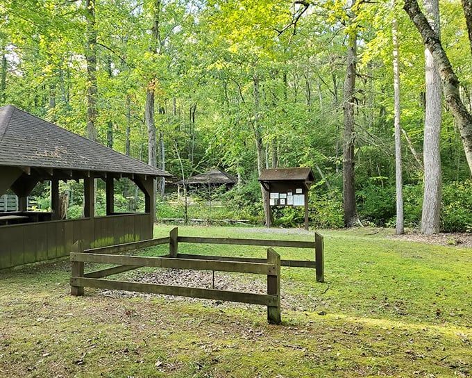 Not just a grassy clearing, but a community gathering space. Where smartphones are forgotten and actual face-to-face conversations still happen – revolutionary concept!