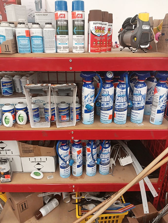 Home improvement supplies organized with military precision, ready to arm weekend warriors for battle against household projects.