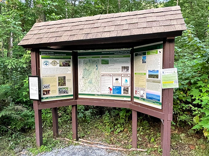 The forest's version of Google Maps. This information board helps transform bewildered city folks into confident woodland explorers.