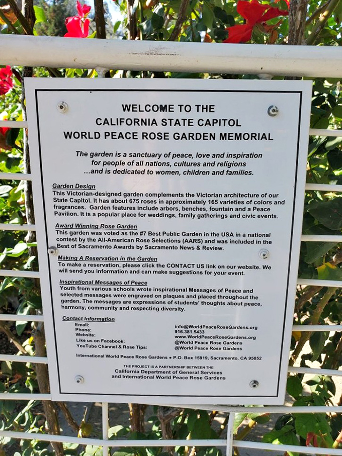 More than just pretty flowers: this sign reveals the garden's deeper purpose as a sanctuary dedicated to peace and understanding.
