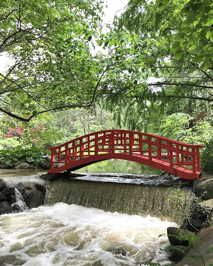The red Japanese bridge arches gracefully over rushing waters, creating a moment of zen that feels imported directly from a Monet painting&mdash;but with Michigan flair.