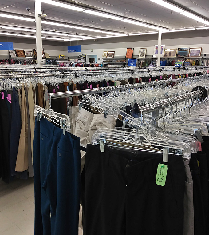 Perfectly organized pants make browsing effortless, turning what could be overwhelming into a surprisingly zen shopping meditation experience.