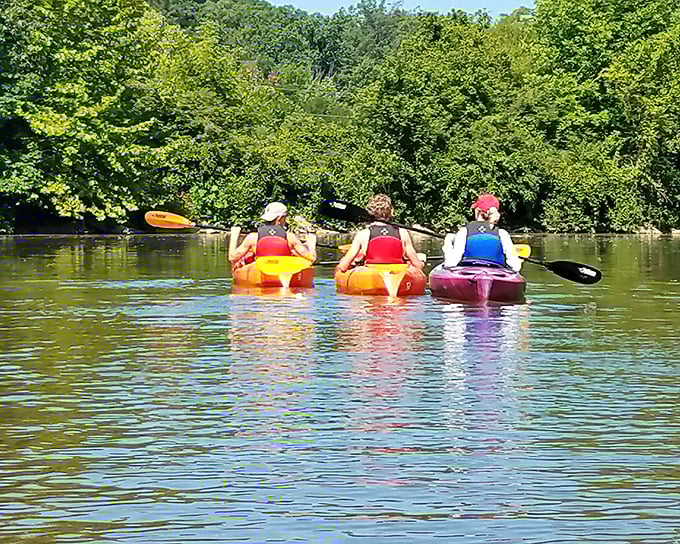 Kayaking the Vermilion River offers a paddler's-eye view of the town and surrounding nature. The gentle current seems to whisper, "What's your hurry? Take another hour or two."