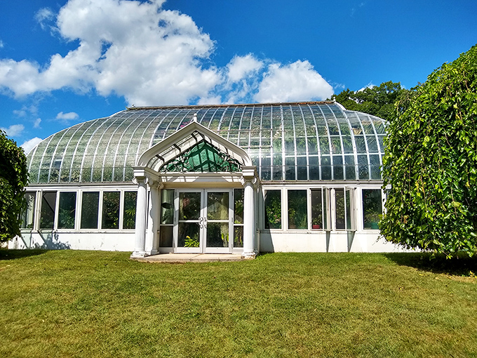 The Lamberton Conservatory's glass cathedral houses botanical treasures from around the world, a tropical escape during Rochester's legendary winters.