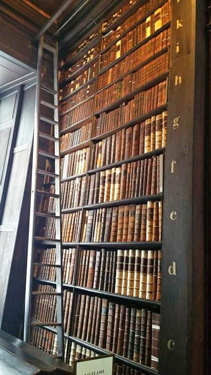 Floor-to-ceiling antique volumes line these shelves, inviting you to lose yourself in knowledge both real and imagined.