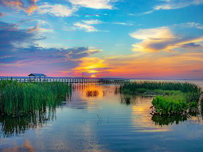 Lake Apopka's stunning sunset paints the sky in impossible colors, proving that Mother Nature remains Florida's most talented artist.