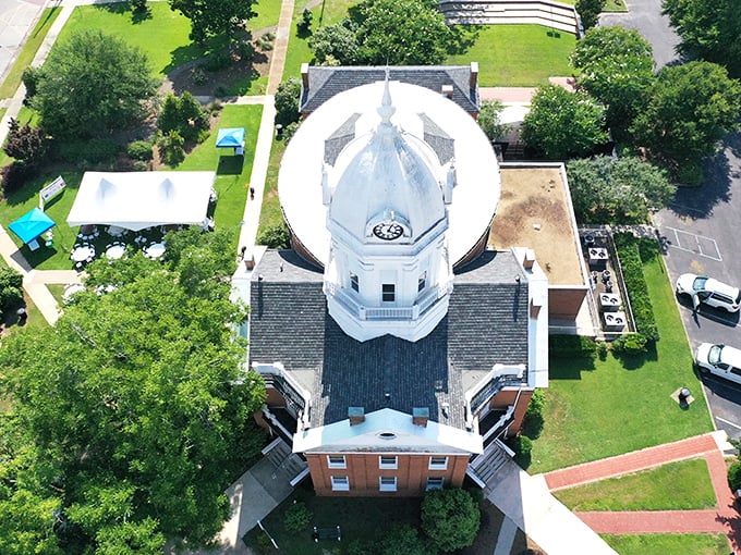 The Old Courthouse Museum's distinctive dome, viewed from above, resembles a wedding cake topped with a literary legacy instead of figurines.