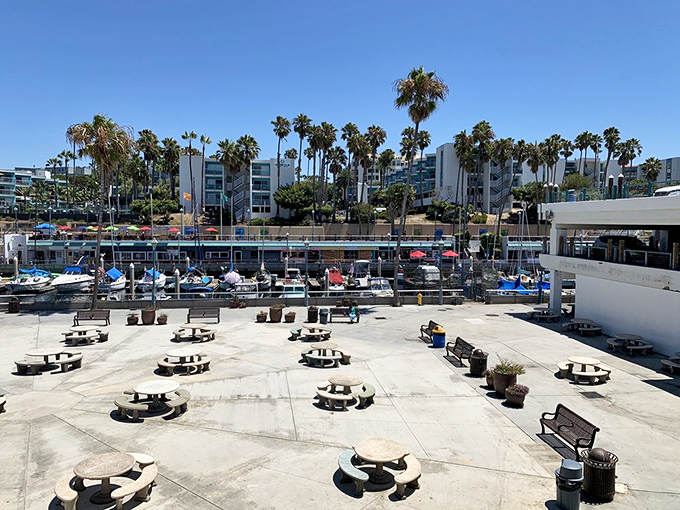 The outdoor dining area where seagulls provide free entertainment and boats bob like dinner theater.