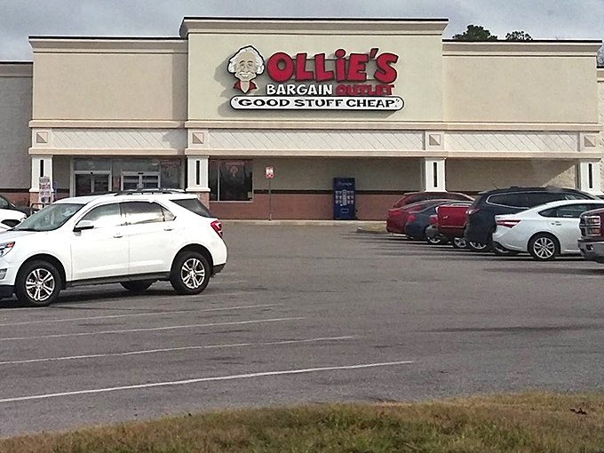 The exterior view reveals Ollie's natural habitat – the American strip mall. That parking lot has witnessed countless victory dances after scoring unbelievable deals.