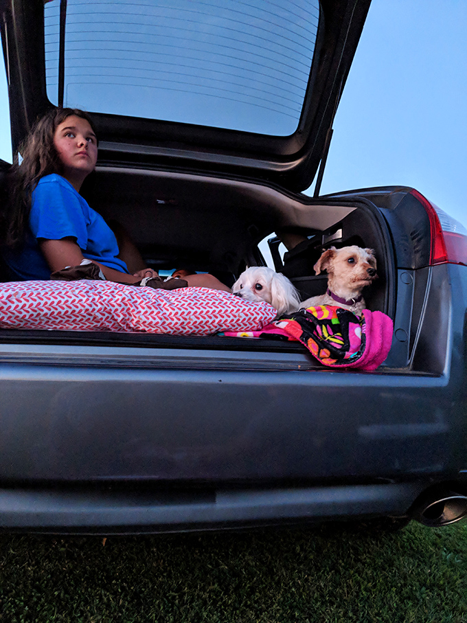 Even four-legged film critics are welcome at this pet-friendly theater. Those pups look ready for their close-up&mdash;or maybe just the popcorn.