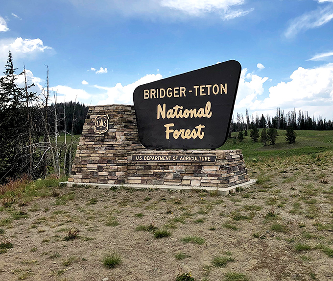 The iconic Bridger-Teton sign welcomes visitors to 3.4 million acres of pure, unfiltered Wyoming wilderness waiting to be explored.