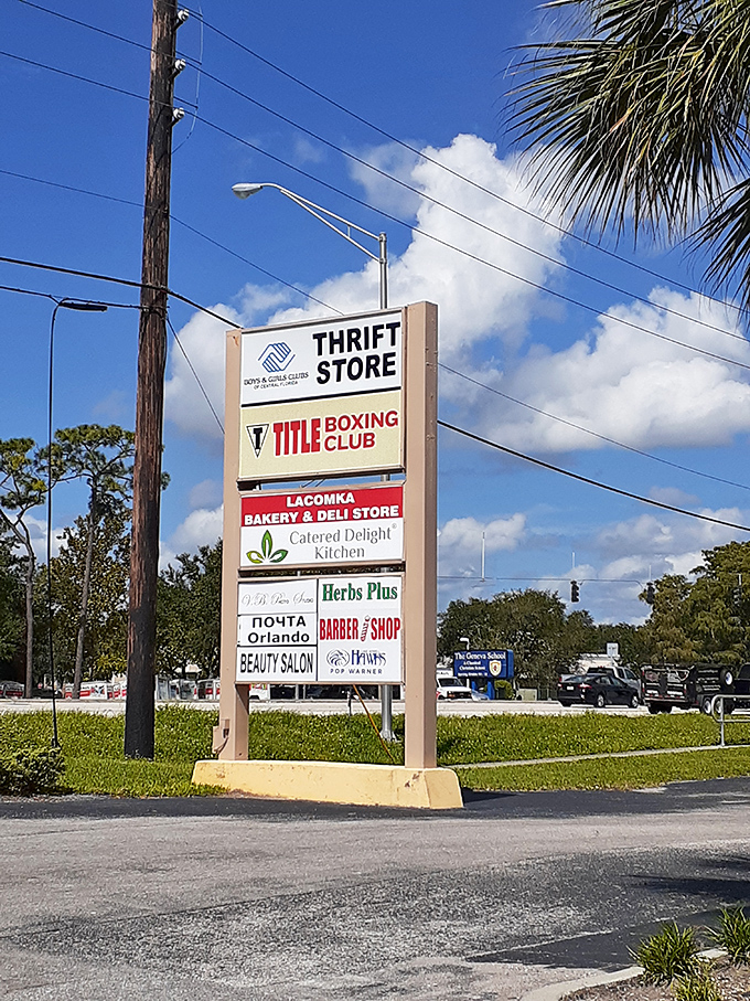 Standing tall among palm trees and Florida sky, this sign guides bargain seekers to their happy place.