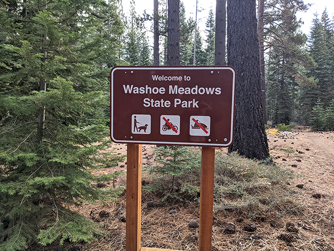 The sign that promises adventure while politely requesting you leave the motorized toys at home. Nature's version of "shoes off at the door."