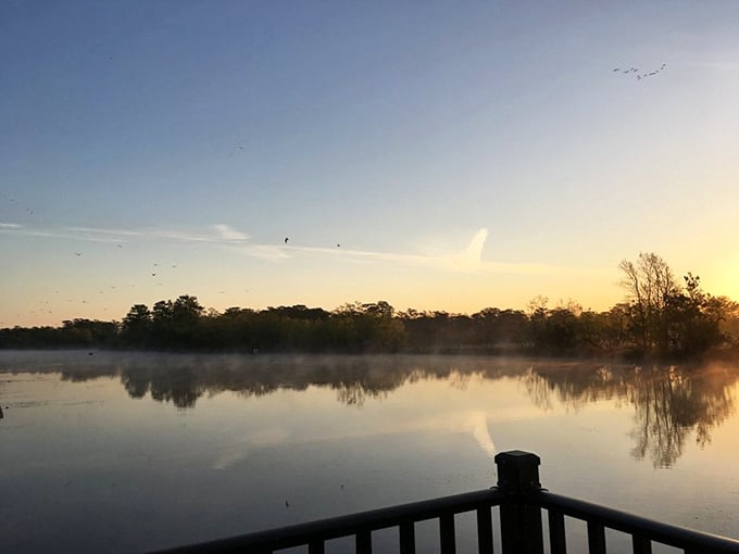 As the sun bids farewell, the bayou exhales a gentle mist. Even the birds pause their evening commute to admire this daily masterpiece.