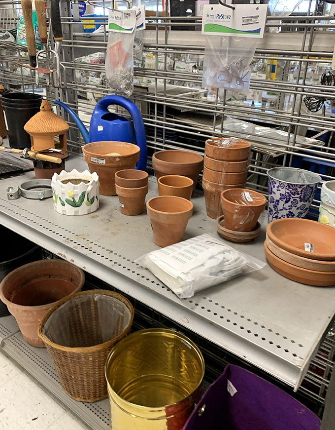 Terra cotta treasures for plant parents on a budget. These humble pots are just waiting to cradle your struggling succulents and ambitious herbs.