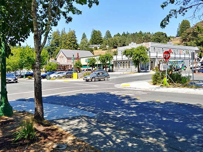 Occidental's downtown intersection might be small, but it's the crossroads of culinary delights, artistic endeavors, and natural wonders.