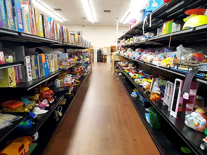 The toy aisle&mdash;a nostalgic wonderland where childhood memories line the shelves and yesterday's playthings await tomorrow's imagination.